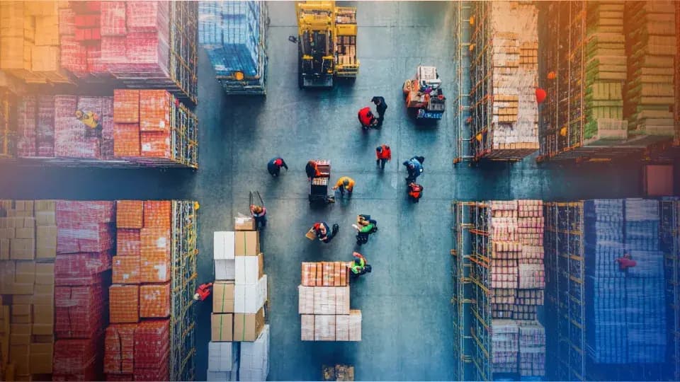 Global Trade Intelligence | Compliance & Visibility | Trademo